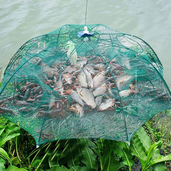 Sulankstomas žvejybos tinklas | FISHTOR – lt.veraze.eu